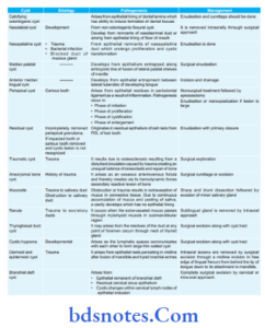 Cysts and Pseudocysts of the Oral Cavity: Types, Causes, and Treatment ...