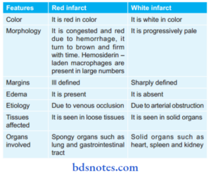 Hemodynamic Changes Question And Answers - BDS Notes