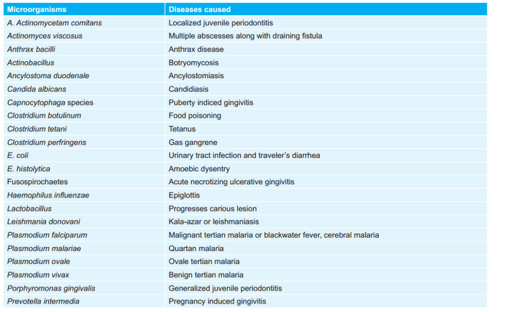 Microbiology Multiple Choice Question And Answers - BDS Notes