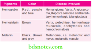 Oral Pigmentation Question And Answers - BDS Notes