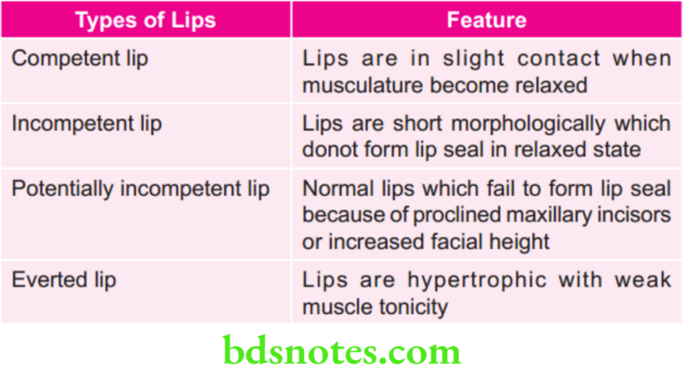 Orthodontics Multiple Choice Question And Answers - BDS Notes