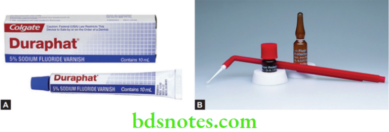 Application of Cavity Liners And Varnish Notes - BDS Notes