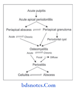 Diseases Of The Pulp And Periapical Tissues Important Question And ...