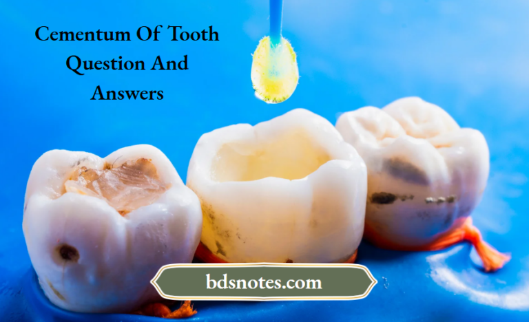 Cementum Of Tooth Question And Answers - BDS Notes