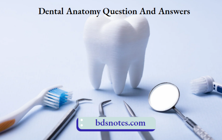 Dental Anatomy Question And Answers - BDS Notes