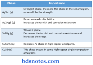 Composite Resins vs. Dental Amalgam: Properties, Composition, and ...