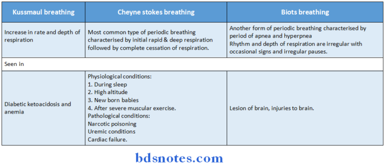 Respiration System Notes - BDS Notes