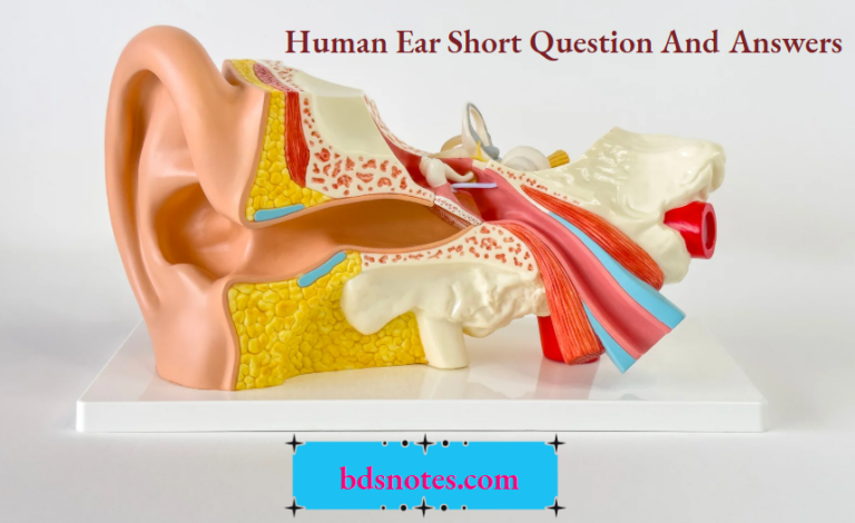 Human Ear Short Question And Answers - BDS Notes