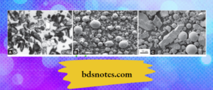 Dental Amalgam Alloys: Low Copper vs. High Copper Explained - BDS Notes
