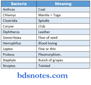 Microbiology Notes - BDS Notes