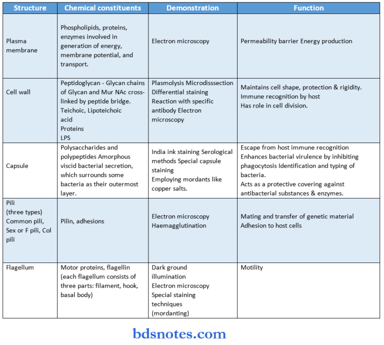 Microbiology Notes - BDS Notes