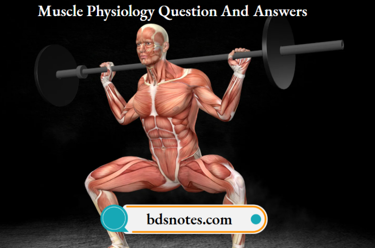 Muscle Physiology Question And Answers - BDS Notes