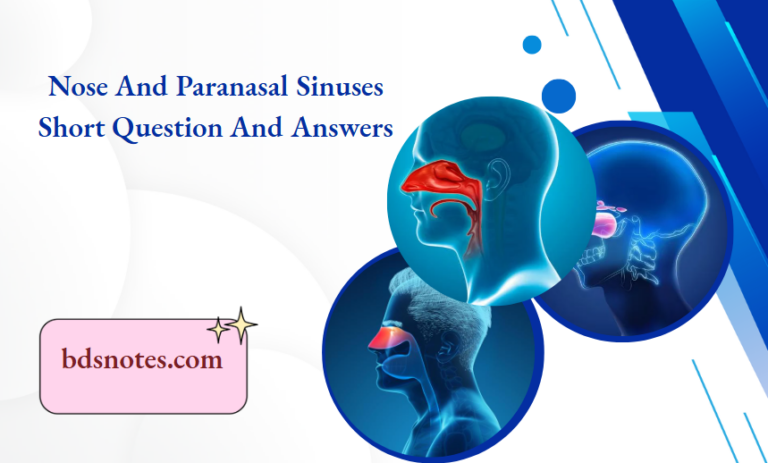 Nose And Paranasal Sinuses Short Question And Answers - BDS Notes