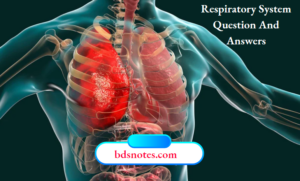 Respiratory System Question And Answers - BDS Notes