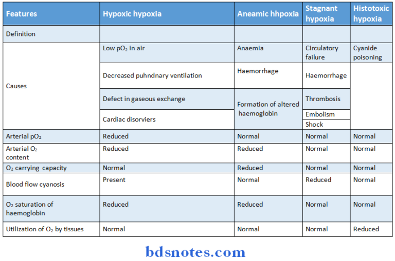 Respiratory System Question And Answers - BDS Notes