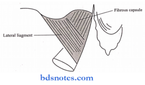 Temporomandibular Joints Question And Answers - BDS Notes