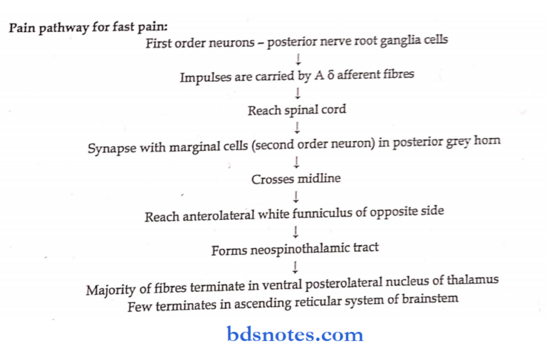Dental Materials Miscellaneous Question And Answers - BDS Notes