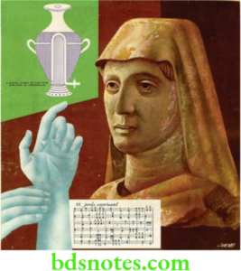 The Father Of Anatomy And A Great Anatomist Herophilus - BDS Notes