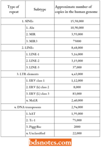 Plasmids, IS Elements, Transposons Notes - BDS Notes
