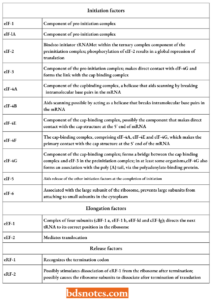 Translation Protein Synthesis - BDS Notes