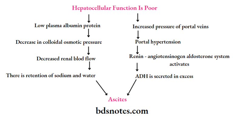 Ascites - Causes and Treatment - BDS Notes