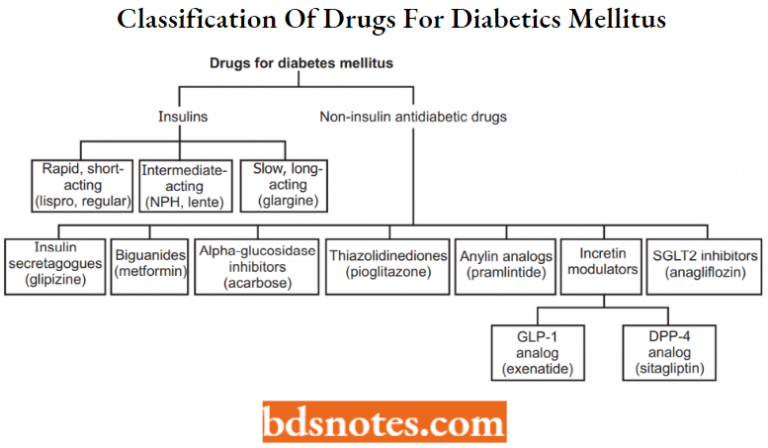 Antidiabetic Drugs Classification And Mechanism of Action - BDS Notes