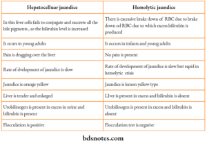 Jaundice Types Explained: Hepatocellular vs Hemolytic vs Obstructive ...