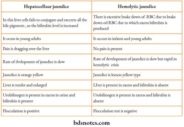 Jaundice Types Explained: Hepatocellular vs Hemolytic vs Obstructive ...