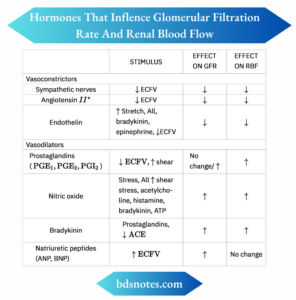 Renal Blood Flow and Glomerular Filtration Notes - BDS Notes