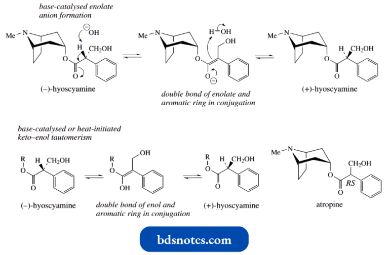 Nucleophilic Reactions Involving Enolate Anions - BDS Notes