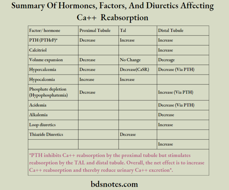 Calcium And Phosphorus Homeostasis Notes - BDS Notes