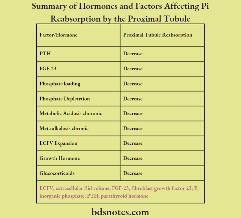 Calcium And Phosphorus Homeostasis Notes - BDS Notes