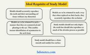Orthodontic Study Models - BDS Notes