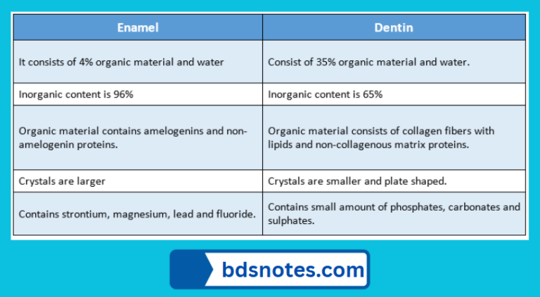 Dentinogenesis - BDS Notes