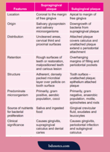 Subgingival Plaque: Significance And Symbolism - BDS Notes