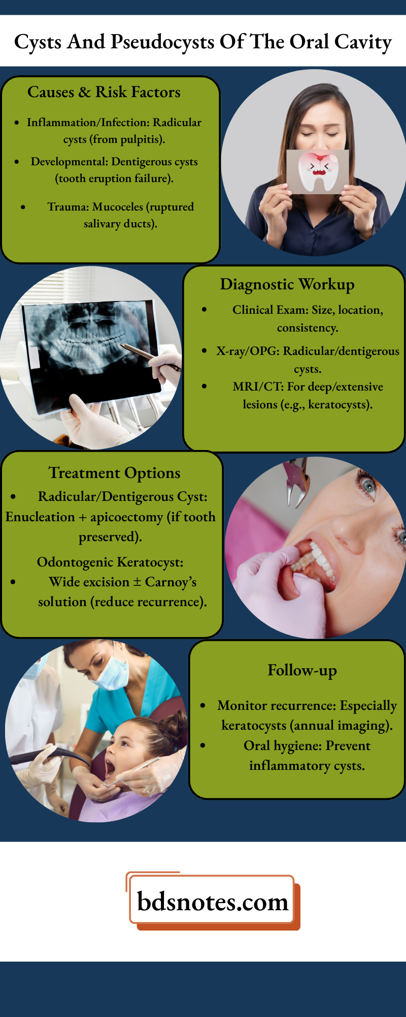Cysts and Pseudocysts of the Oral Cavity: Types, Causes, and Treatment ...