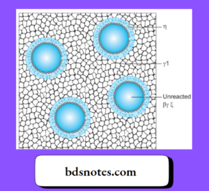 High-Copper Amalgam: Types, Composition, and Properties - BDS Notes