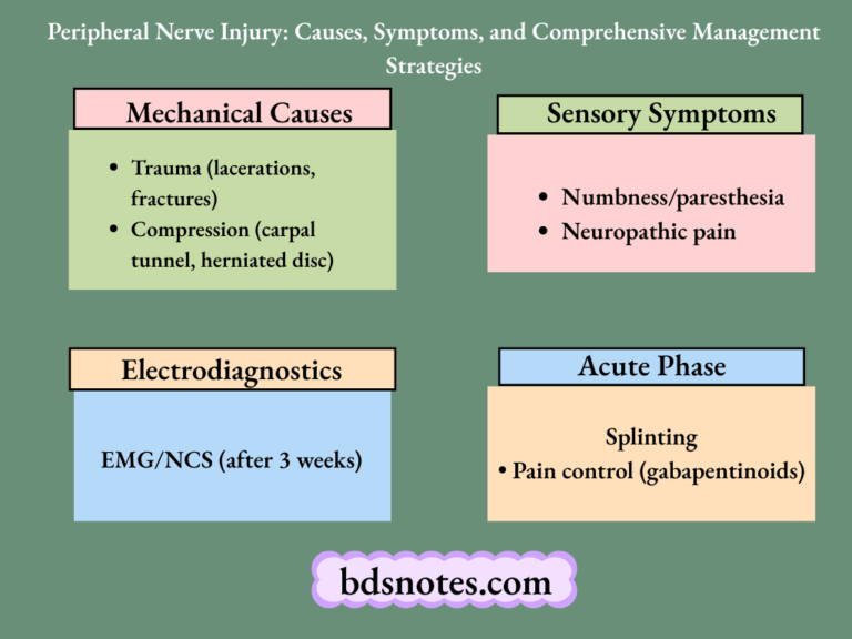Peripheral Nerve Injury: Causes, Symptoms, and Comprehensive Management ...