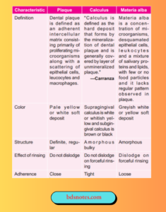 Difference Between Materia Alba And Plaque - BDS Notes
