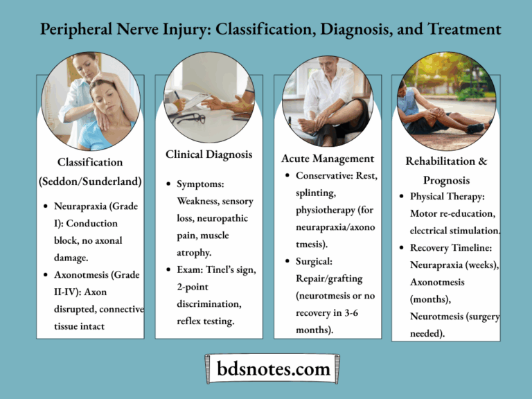 Peripheral Nerve Injury: Classification, Diagnosis, and Treatment - BDS ...