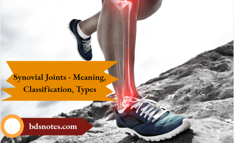 Synovial Joints - Meaning, Classification, Types - BDS Notes