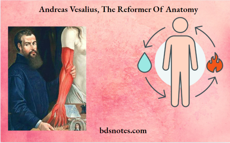 Andreas Vesalius, The Reformer Of Anatomy - BDS Notes