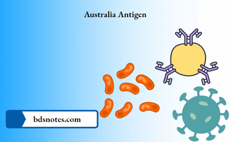 Australia Antigen - BDS Notes