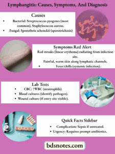 Lymphangitis: Causes, Symptoms, And Diagnosis - BDS Notes