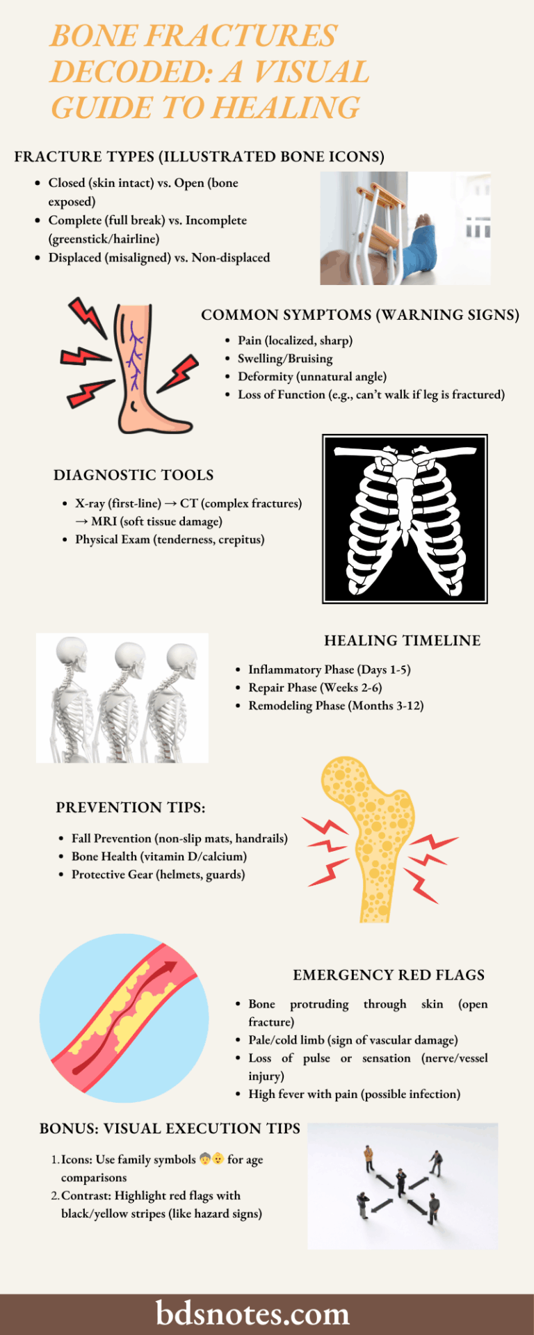 Bone Fractures: Types, Symptoms And Treatment - BDS Notes