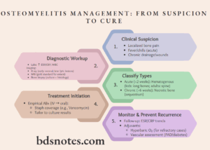 Osteomyelitis: Diagnosis And Treatment - BDS Notes