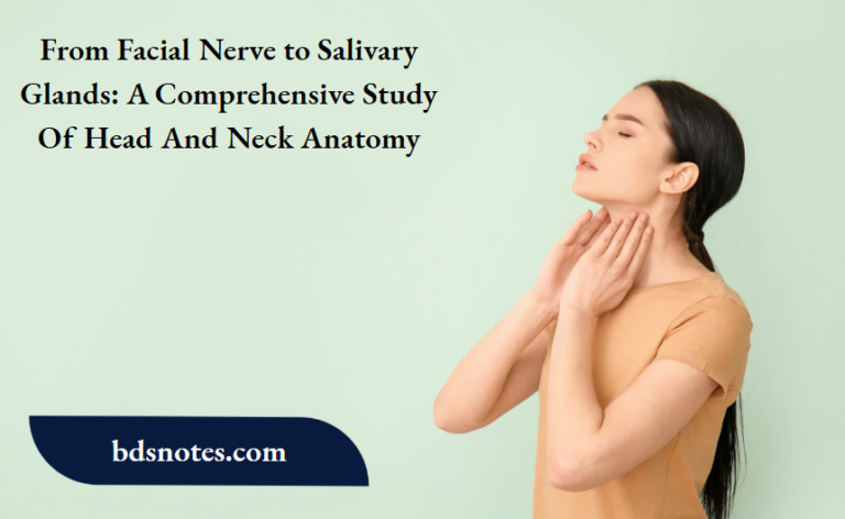 From Facial Nerve to Salivary Glands: A Comprehensive Study of Head and ...